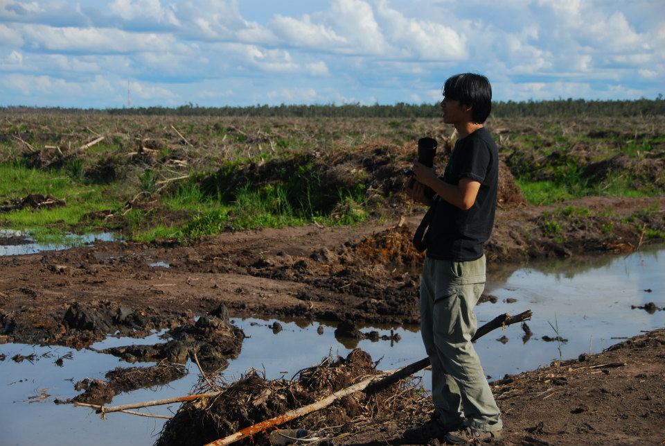 Guest Post: Central Kalimantan’s oil palm catastrophe in pictures ...